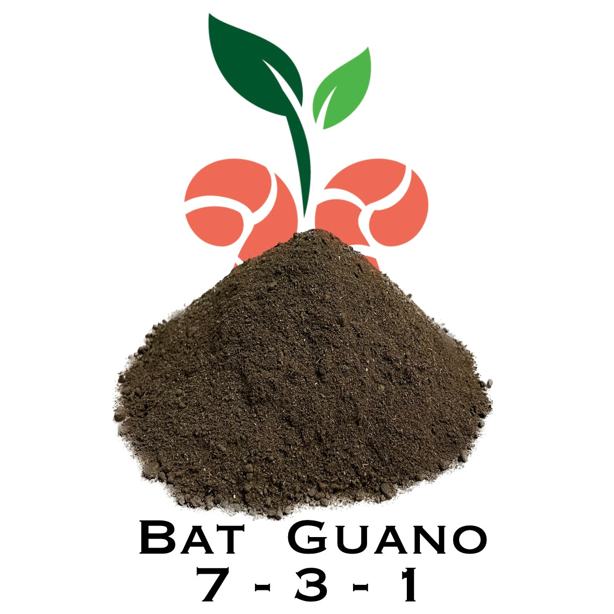 Bat Guano – SoilCandy