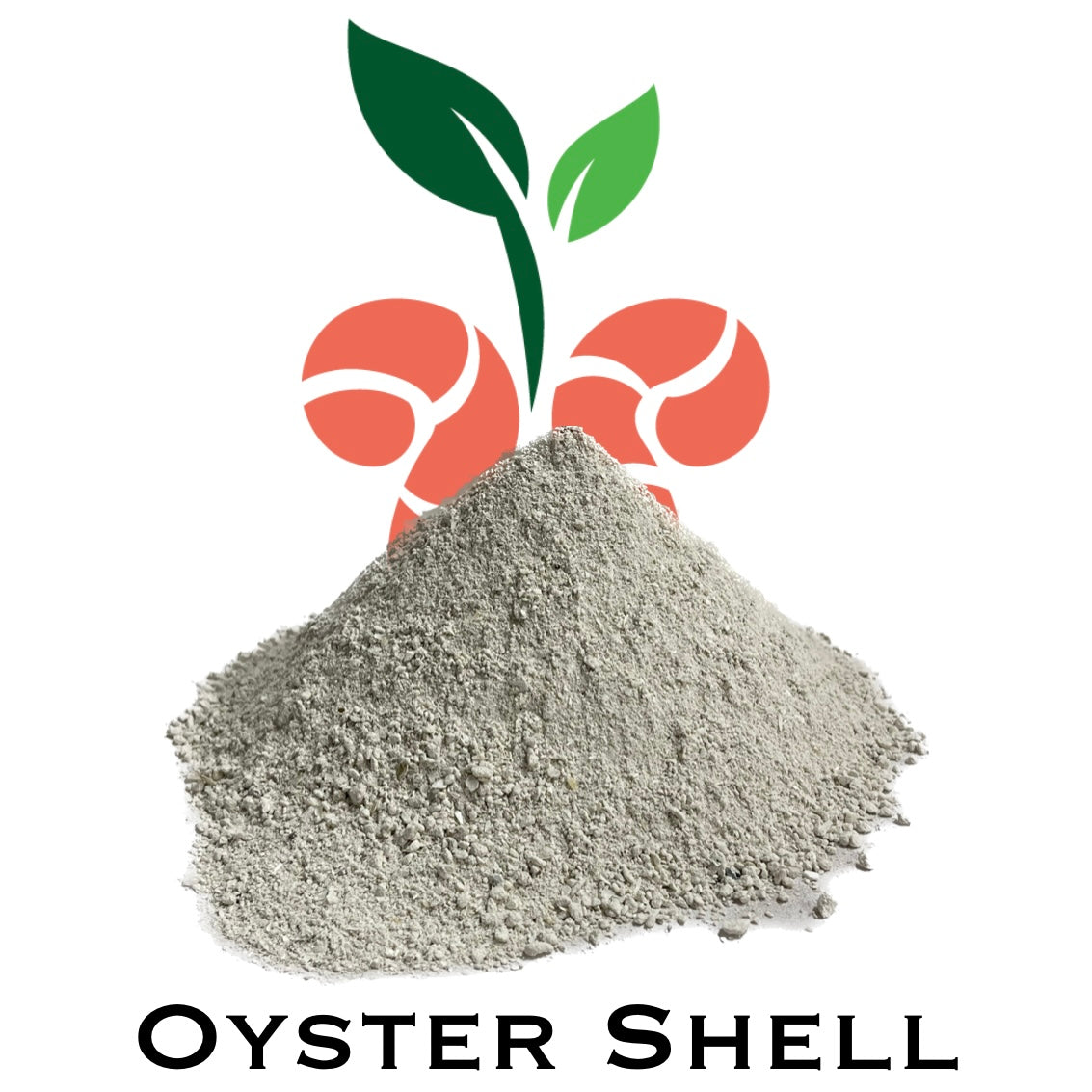 Oyster Shells – SoilCandy