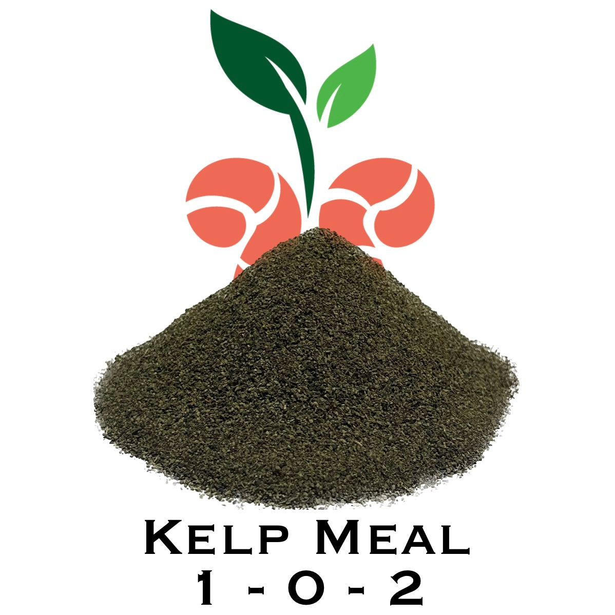 Kelp Meal – SoilCandy